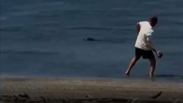 “Fine me, I’m rich”: Outrage as American tourist attacks beloved local ...